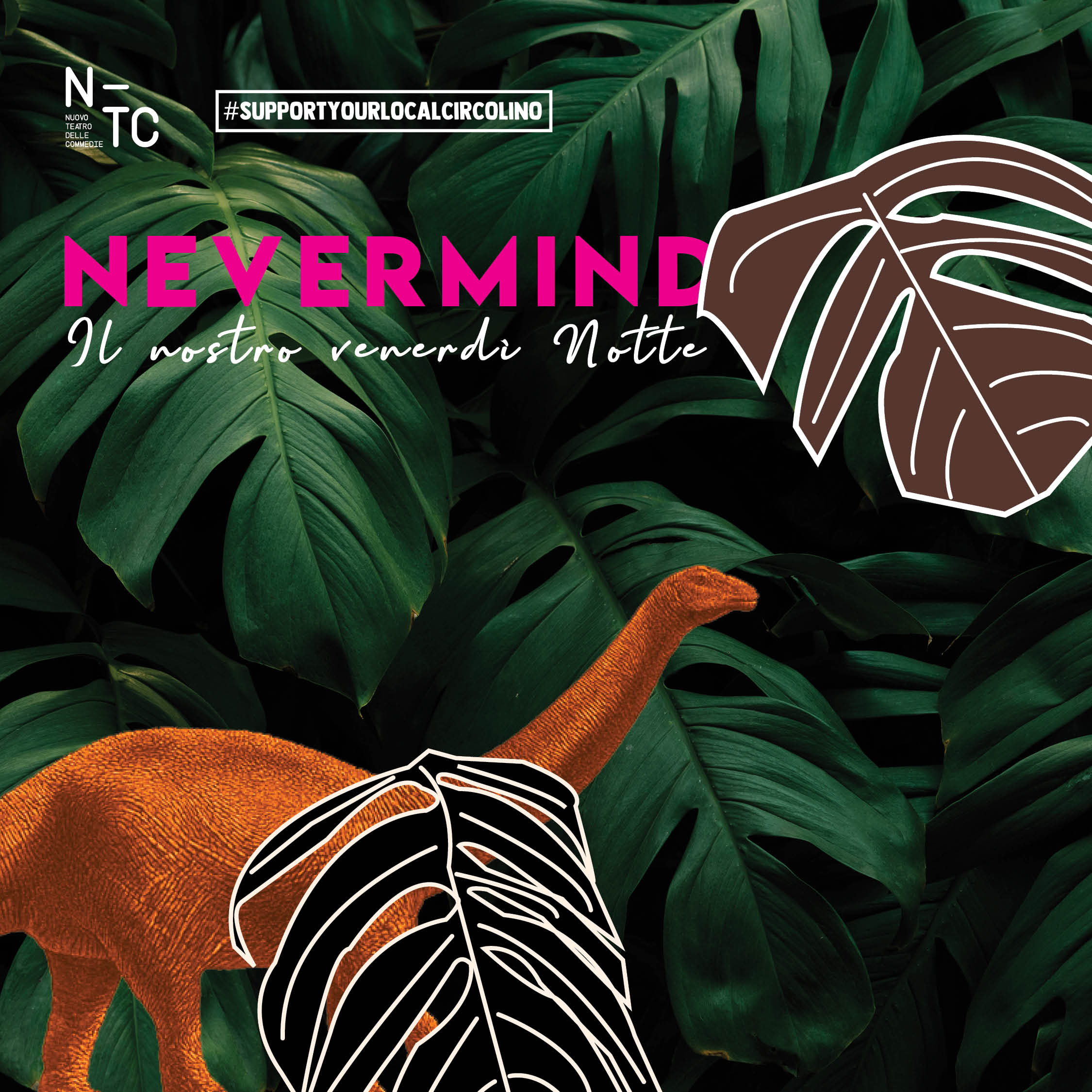 Nevermind Friday Night - Nuovo Teatro delle Commedie